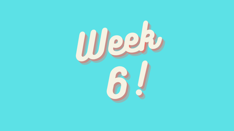 Week 6 - The Final Week - Bridal Bootcamp HQ